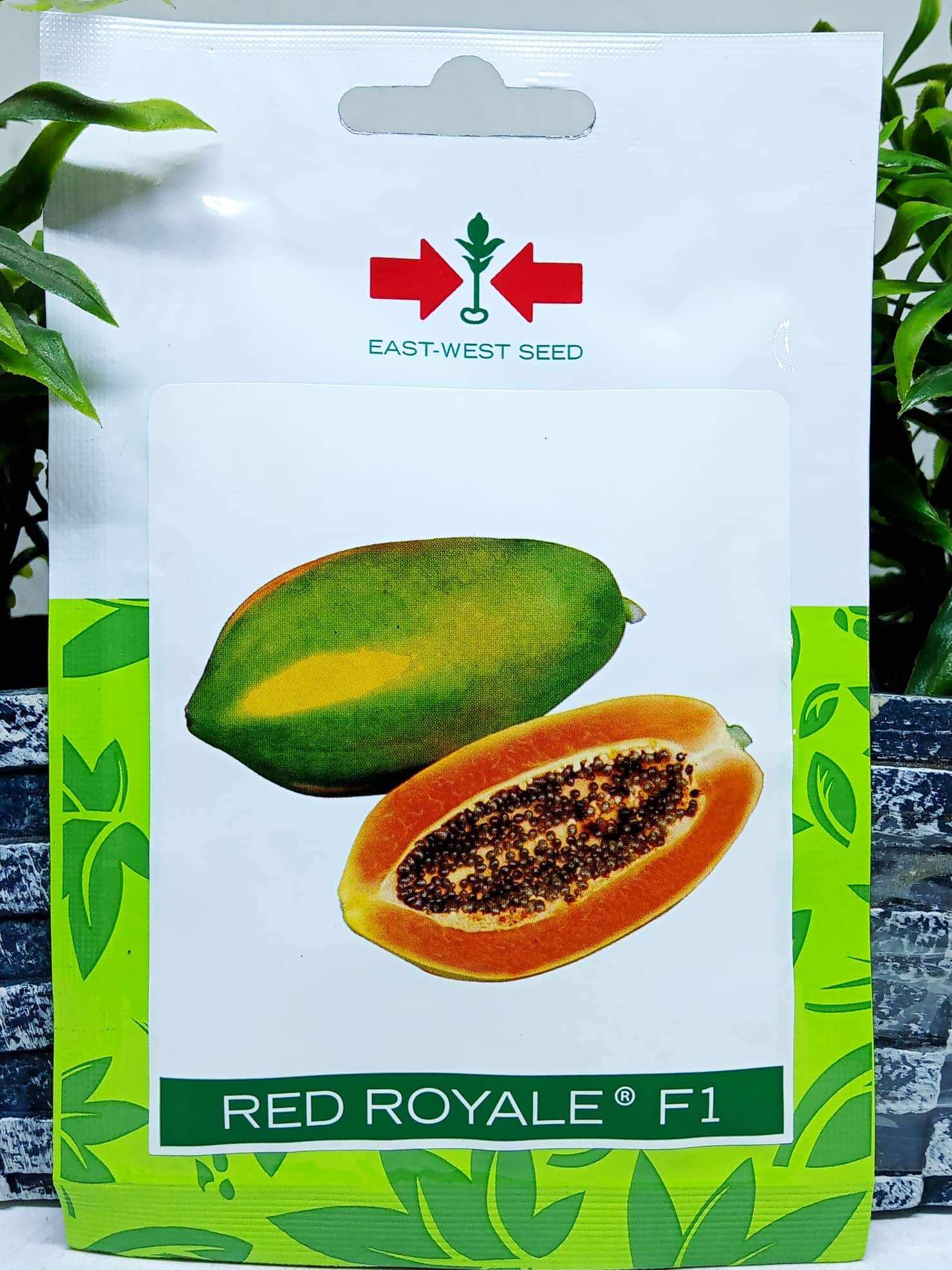 Red Royale F1 (Papaya) / Asenso Pack (100 seeds) / East West Seed ...