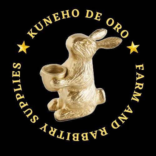 Shop at RNE Kuneho De Oro with great deals online | lazada.com.ph