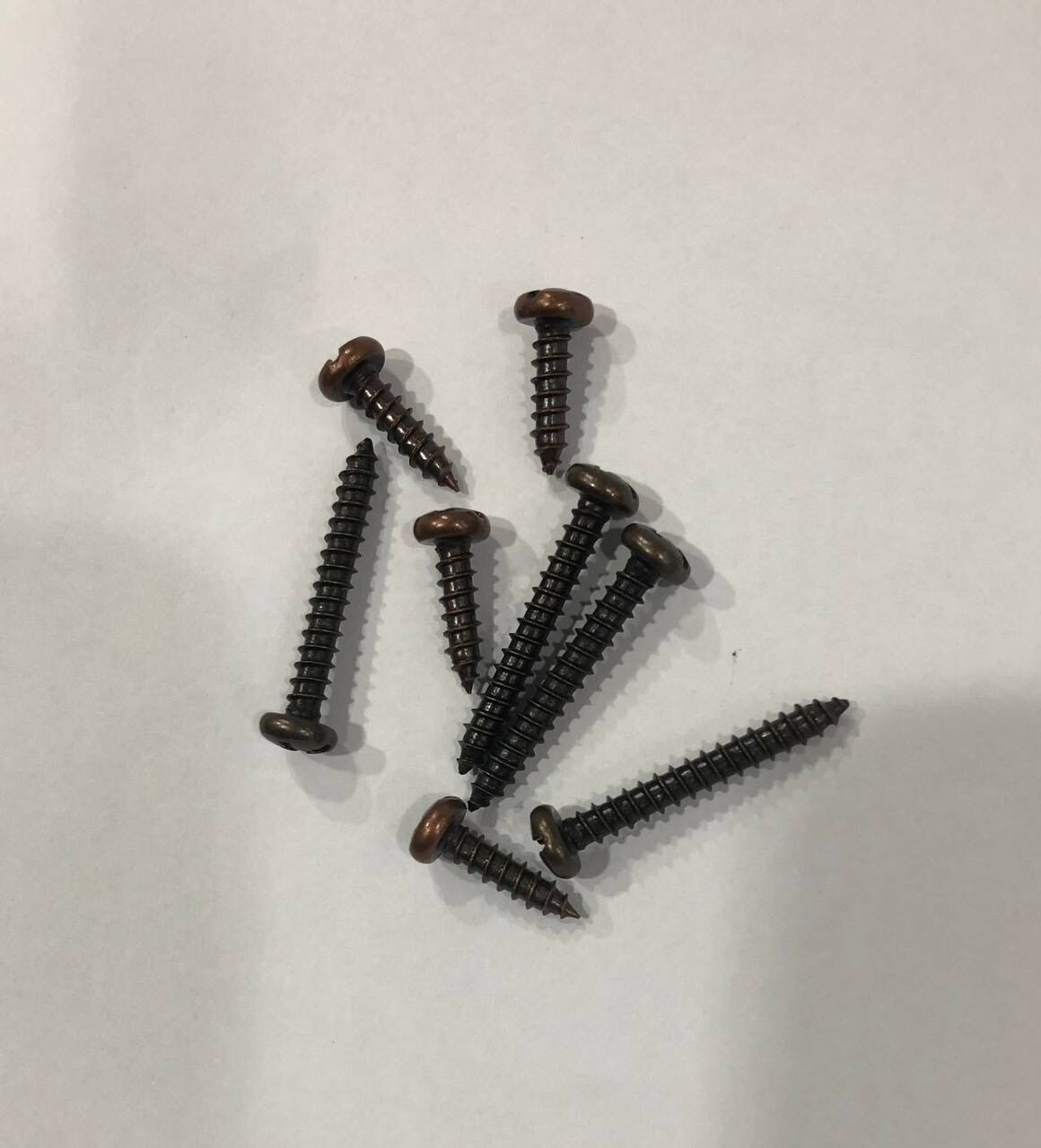 Screws for alpha lock | Lazada PH