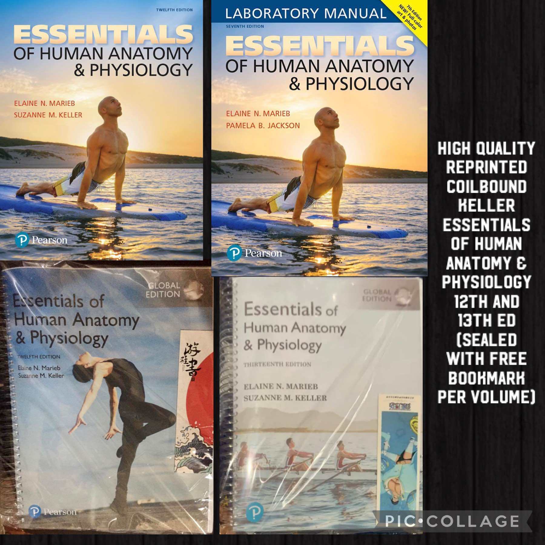 Keller Marieb Essentials Of Anatomy And Physiology 12th 13th Edition