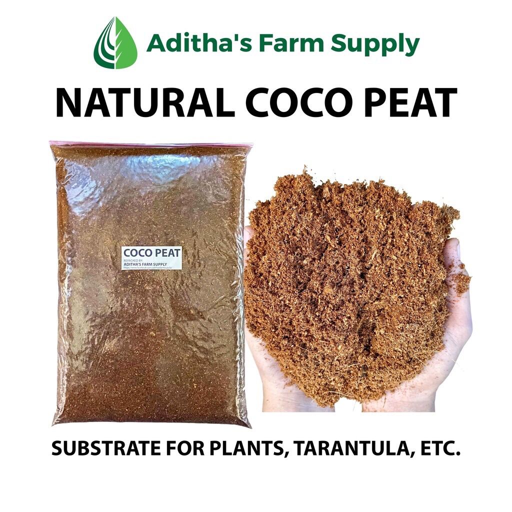AFS Coconut / Coco Peat / Coir (Non-Acidic) Best Substrate for ...