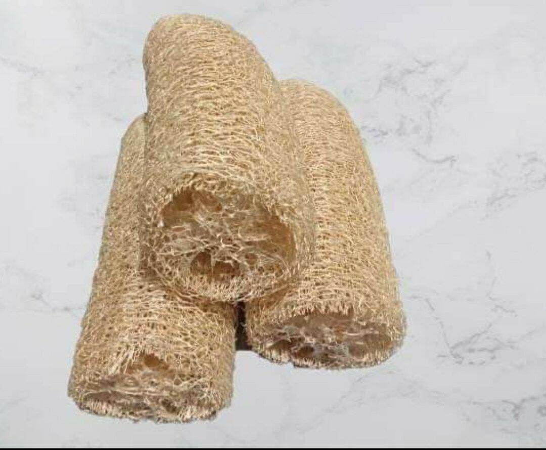 Loofah / Panghilod Ng Katawan Set Of 3pcs | Lazada PH