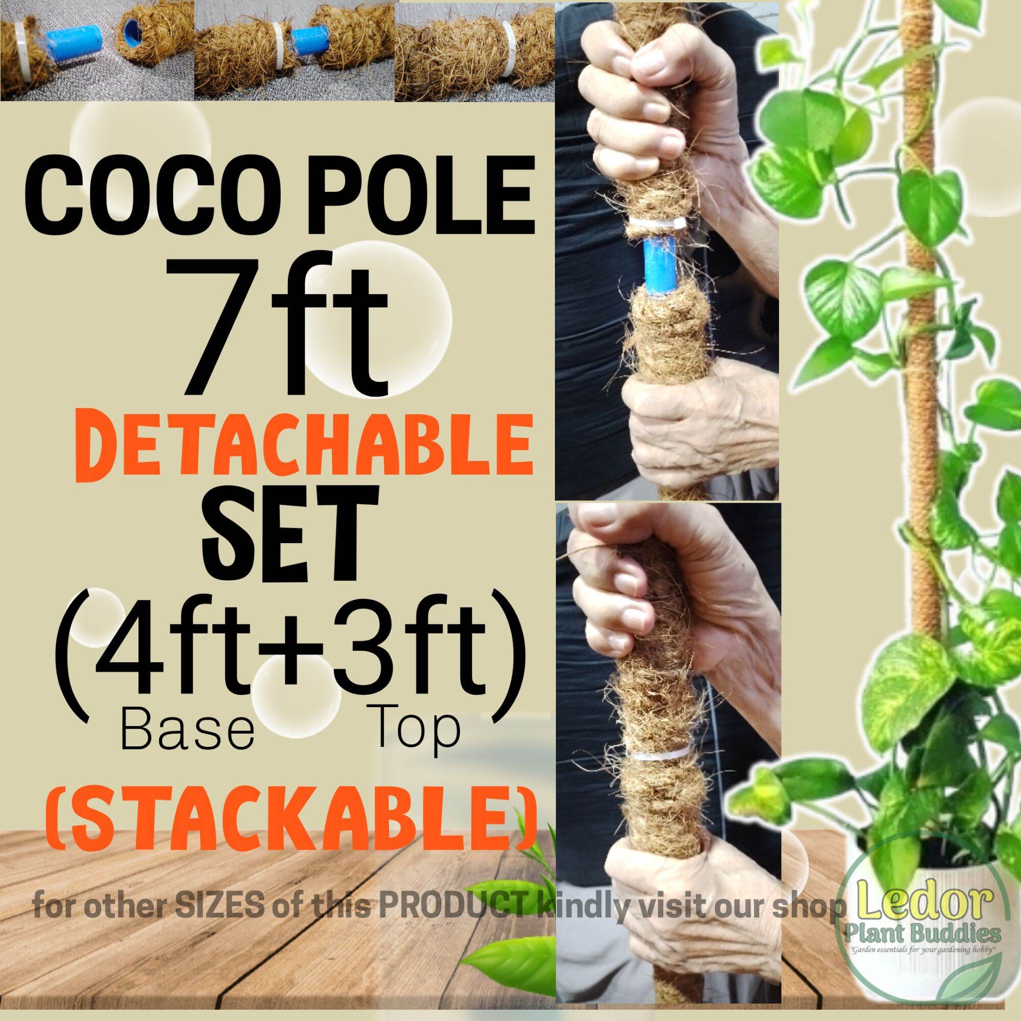 Premium Coco Pole 2ft to 8ft: Ultimate Plant Support for Climbing and ...