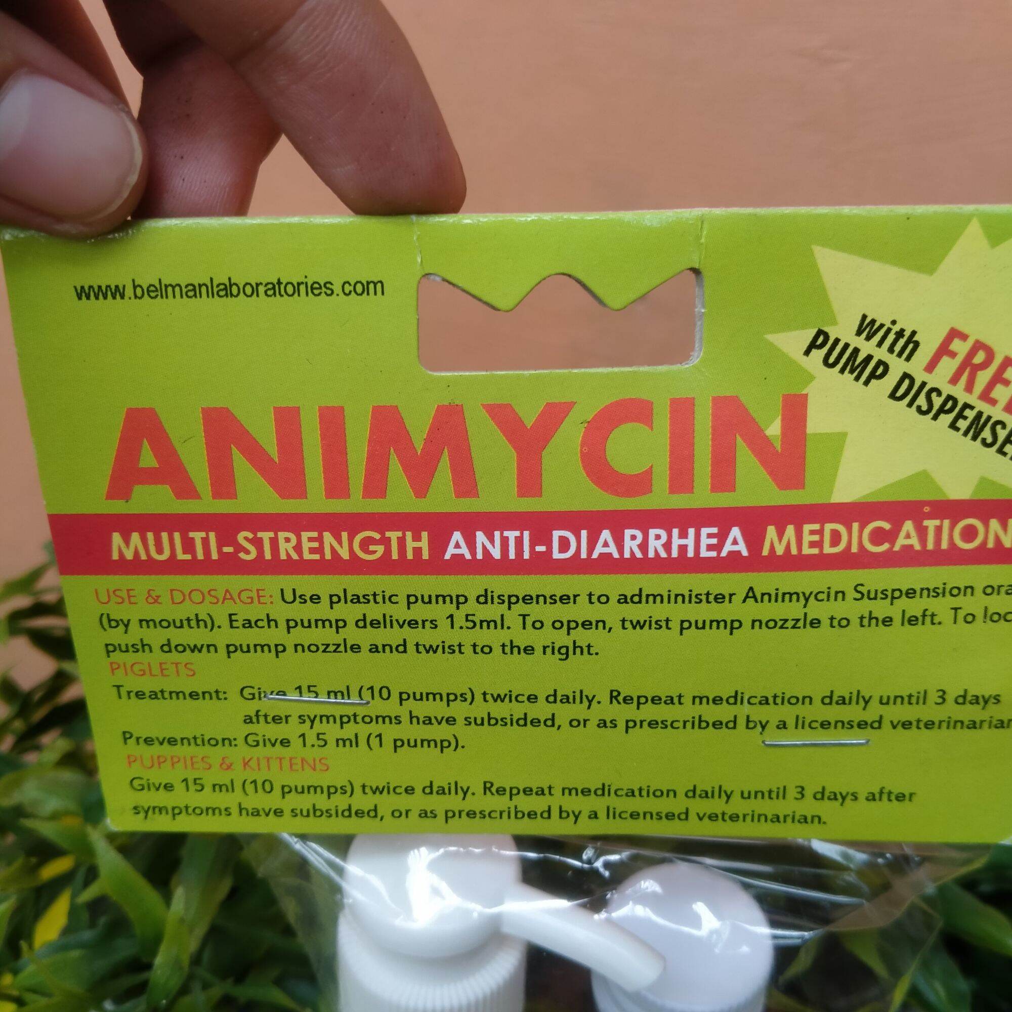 Animycin Anti Diarrhea 240ml | Lazada PH