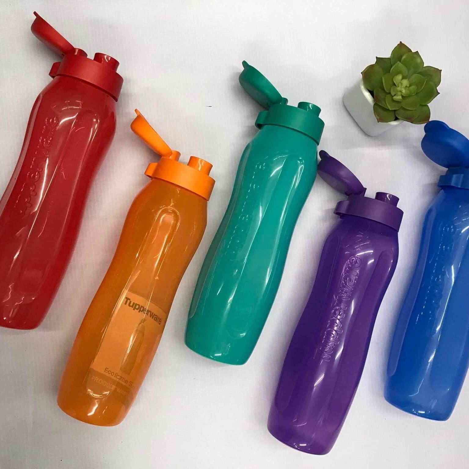 1L Slim Eco Bottle | Lazada PH