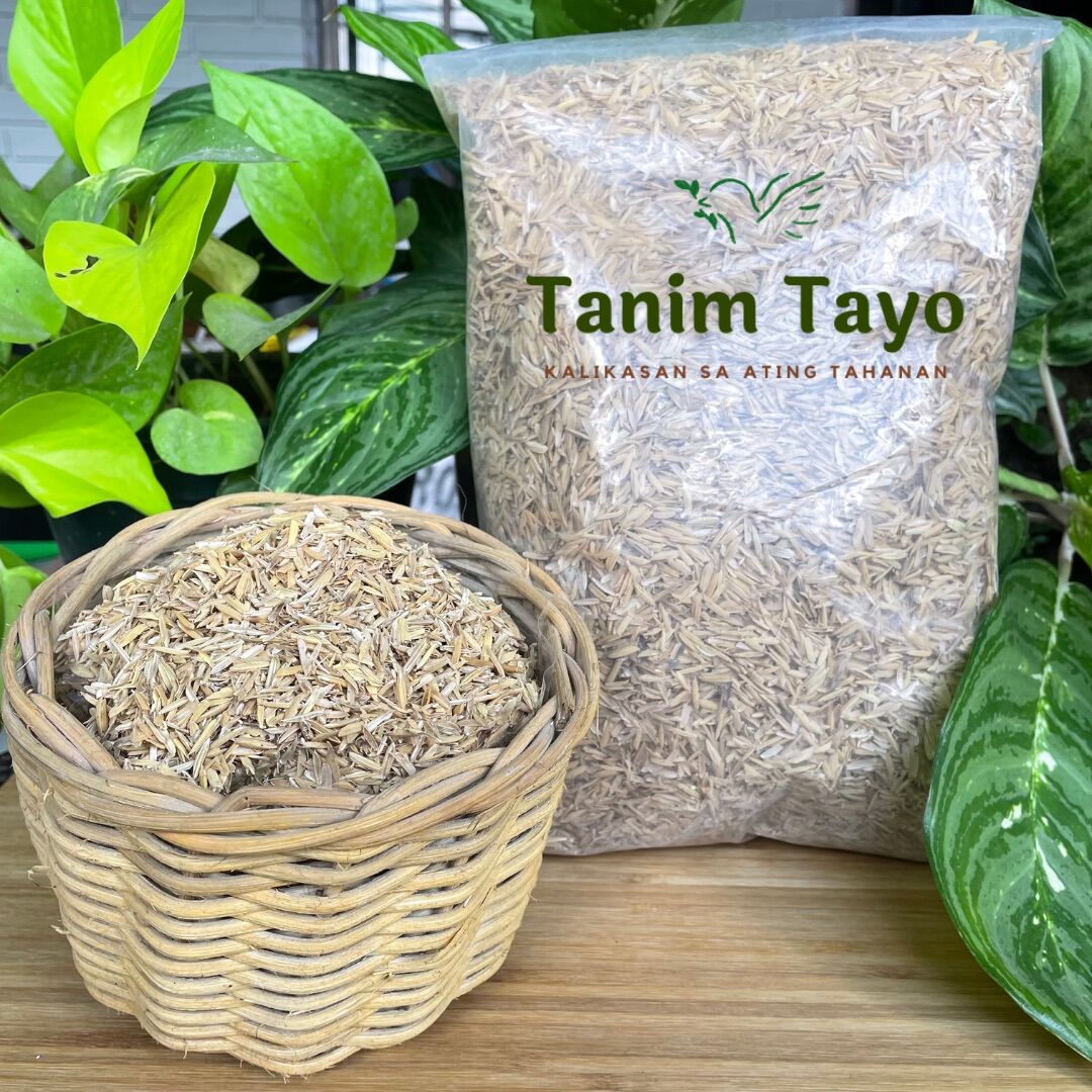 TanimTayo.PH Rice Hull Fresh Ipa for Plants Gardening Fresh Filtered ...