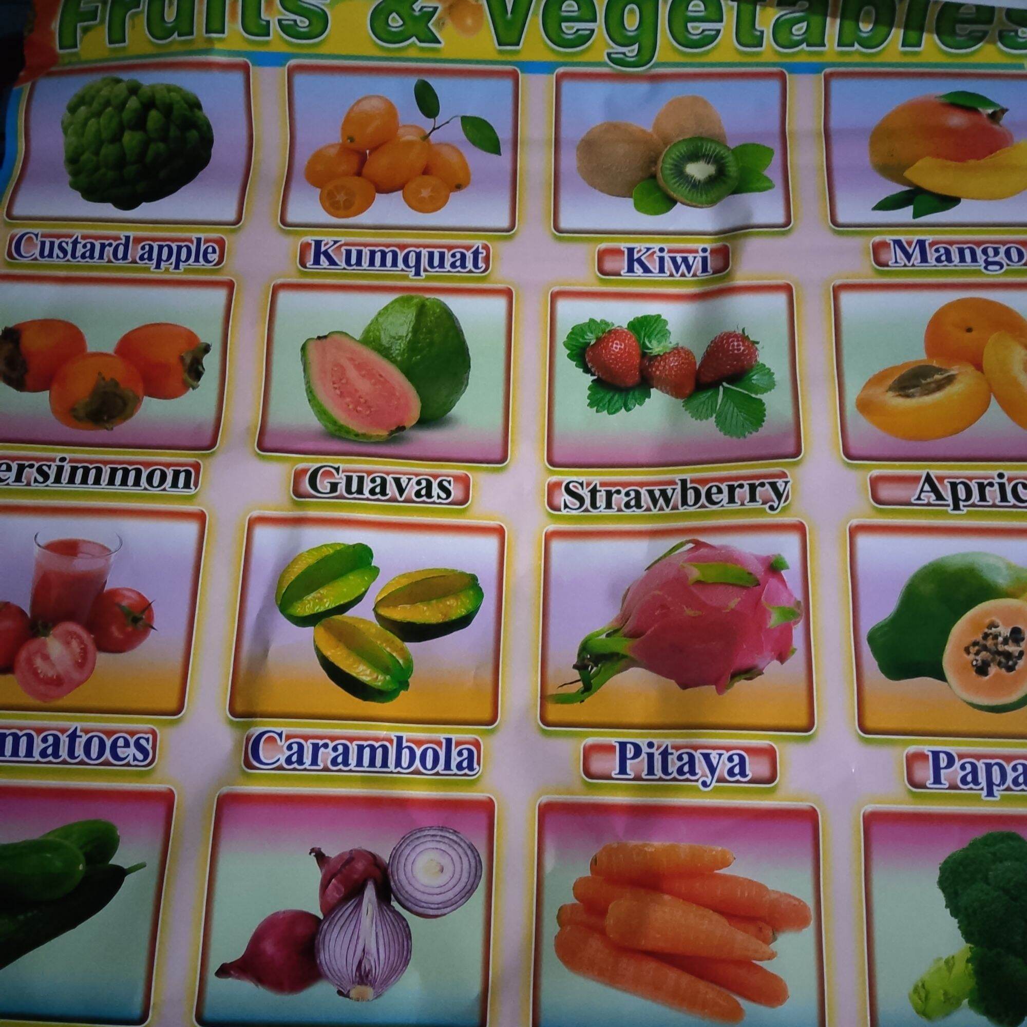 Educational Chart for children 49x67cm | Lazada PH