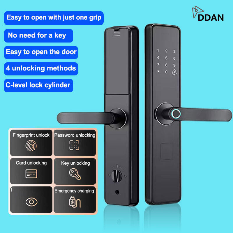 Smart door lock main door Smart door knob Password Fingerprint ic card ...
