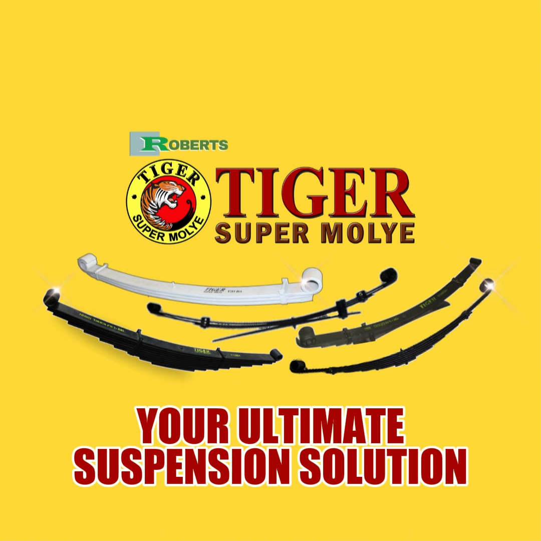Leaf Spring Molye for Mitsubishi L200 Rear | Lazada PH