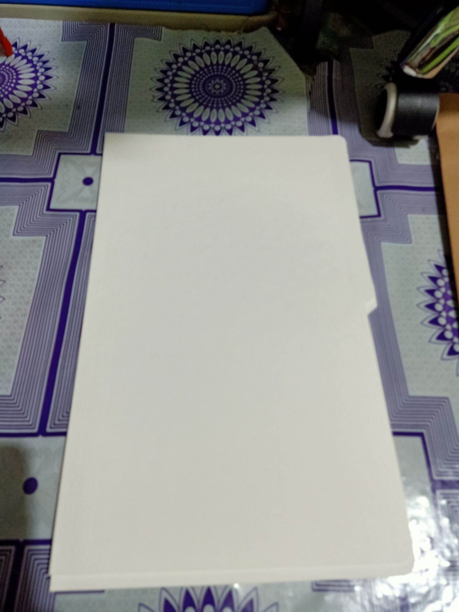 Ordinary White Folder | Lazada PH