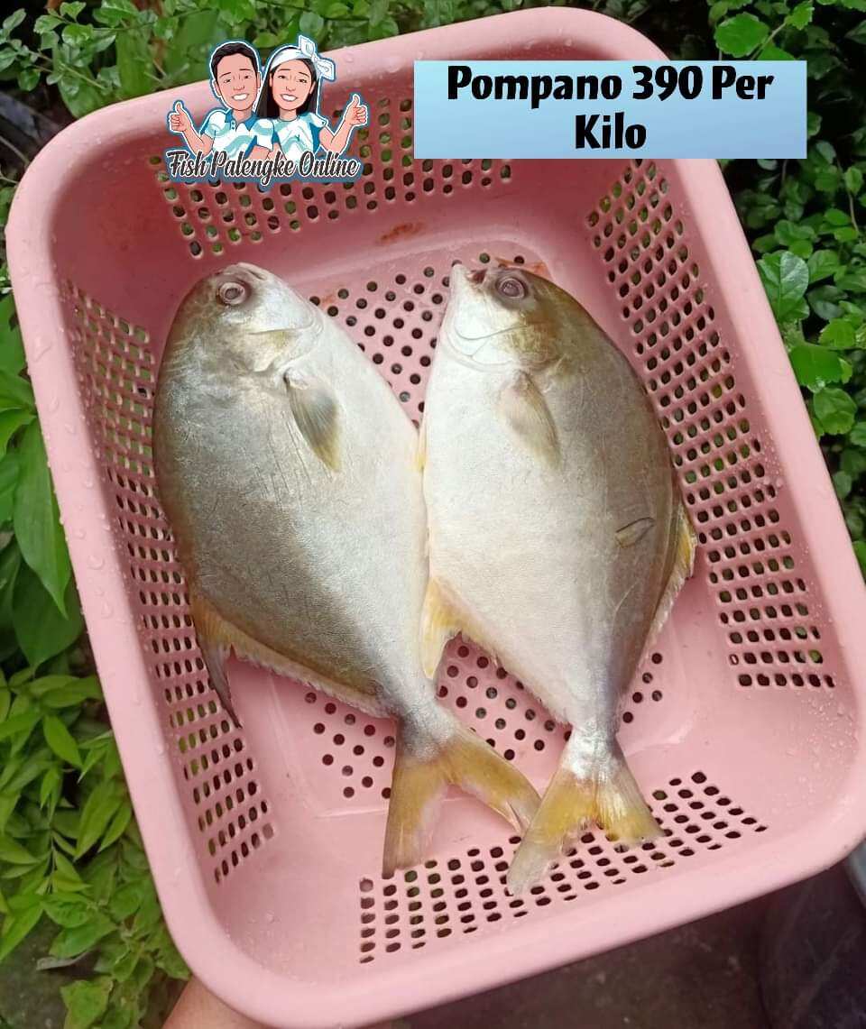 Golden Pompano, Pampano 2pcs 1kg | Lazada PH