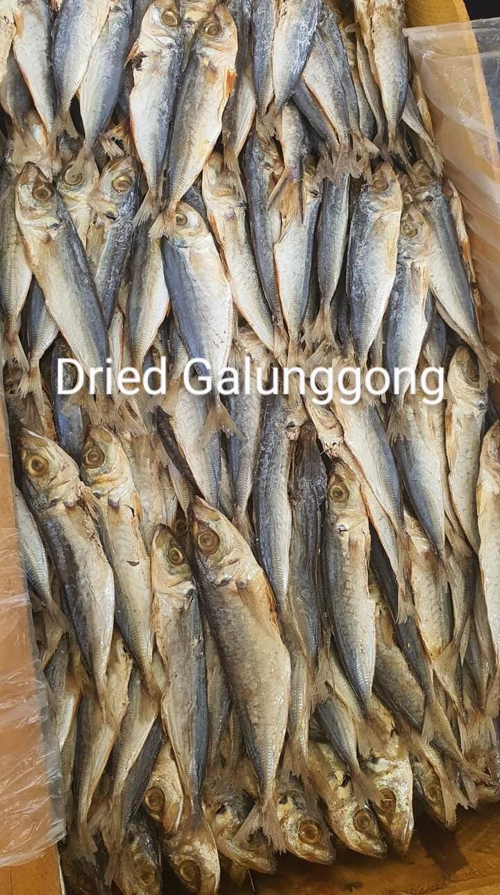 Dried Fish Galunggong 1/2 KILO | Lazada PH