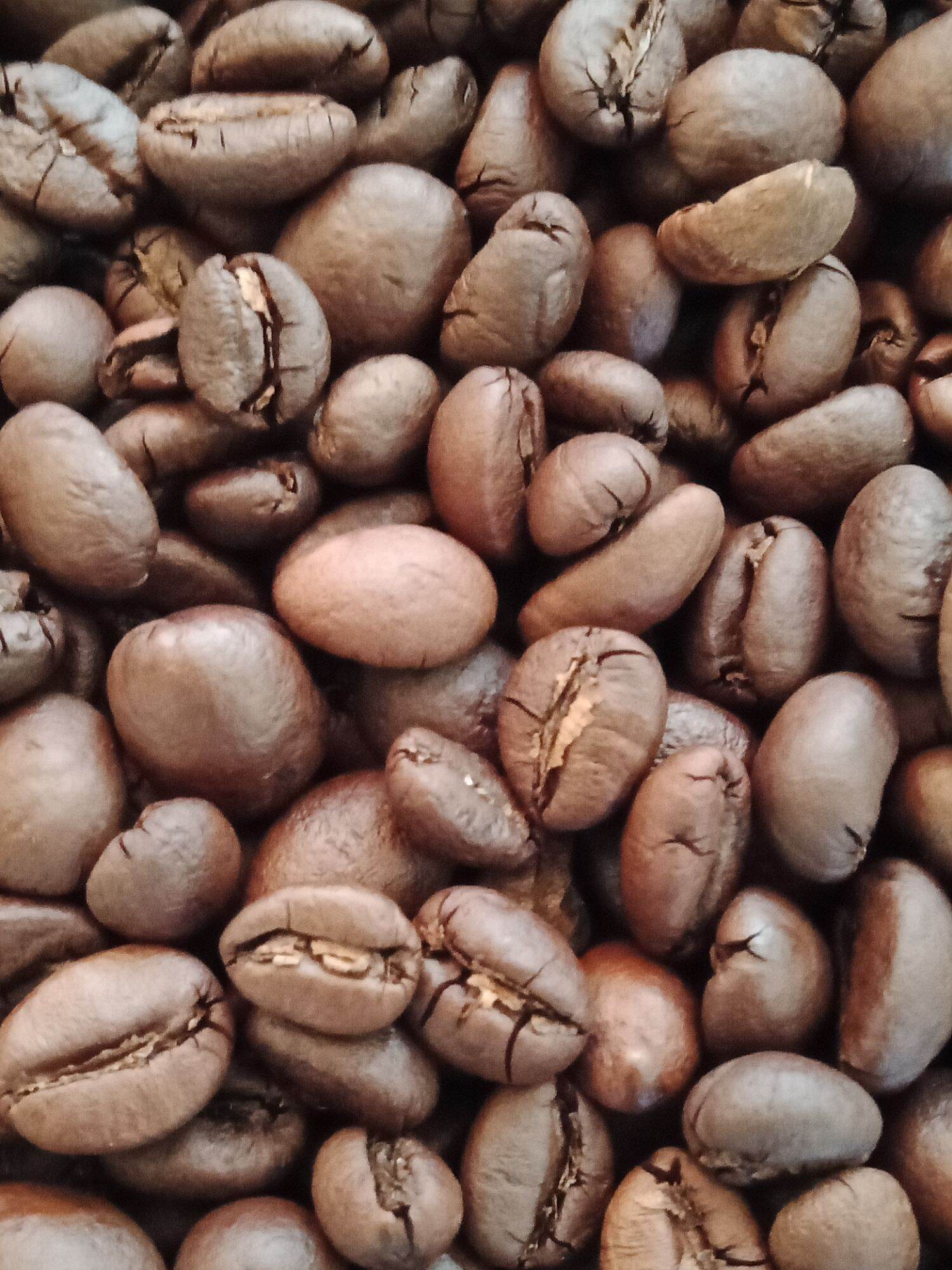 CARAMAY COFFEE (PALAWAN) Robusta Medium Roast 1000 g | Lazada PH