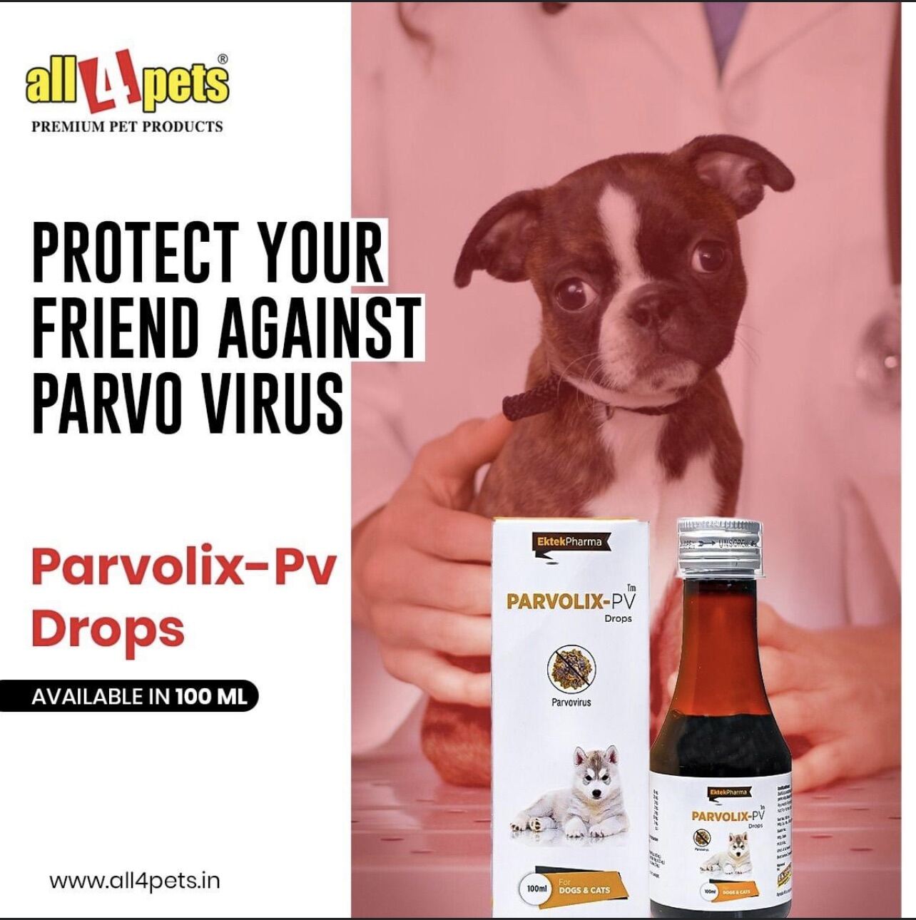 Parvolix Pv For Treatment Of Parvo Virus In Dogs And Cats 100ML | Lazada PH