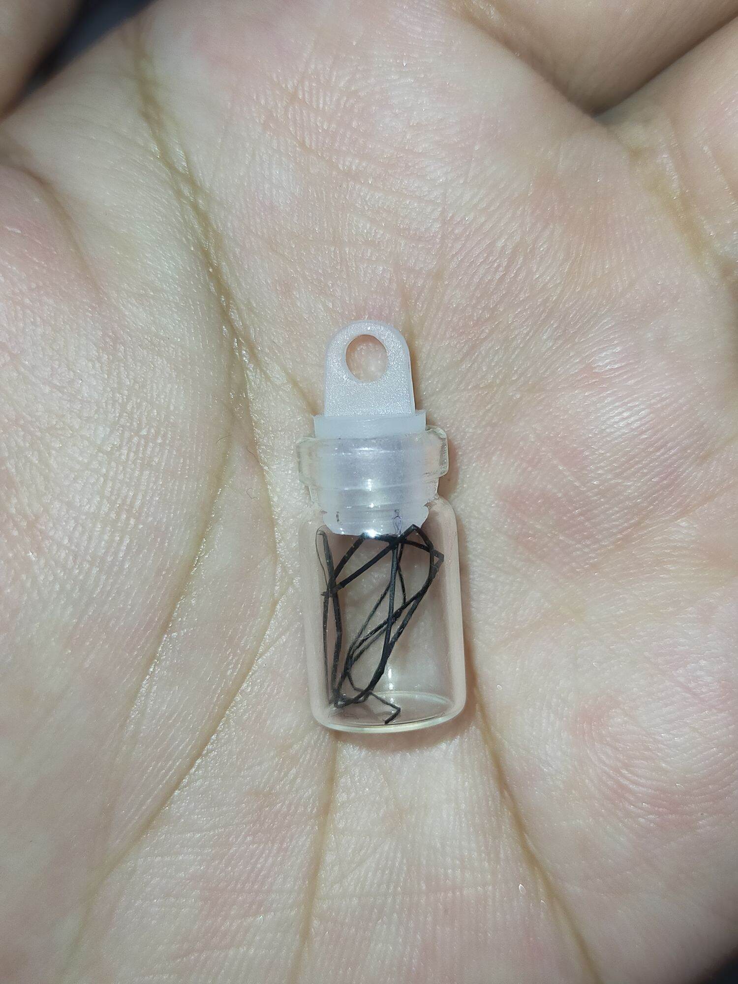 Buhok ng Kapre | Lazada PH