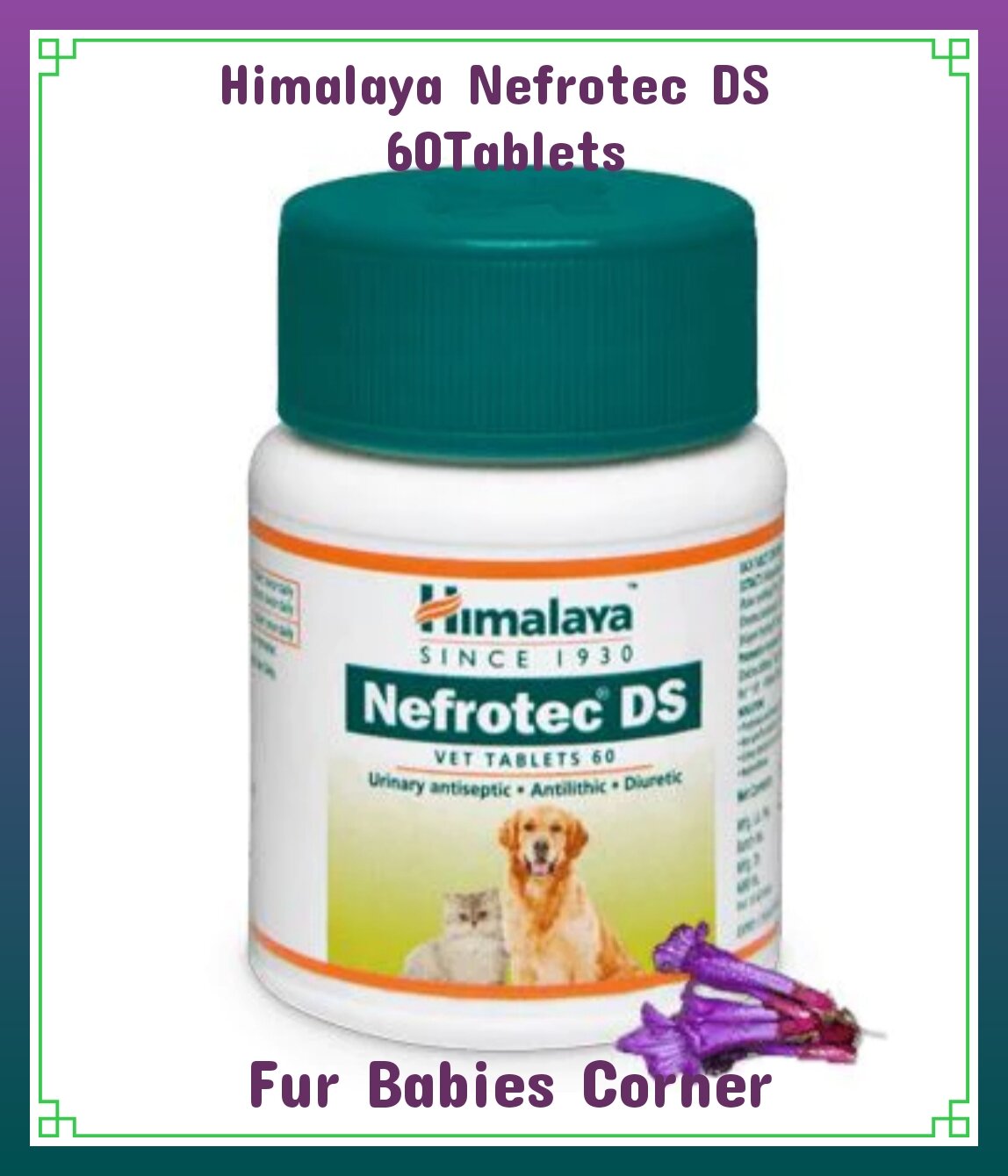 Himalaya Nefrotec DS Urinary Antiseptic, Antilithic and Diuretic ...