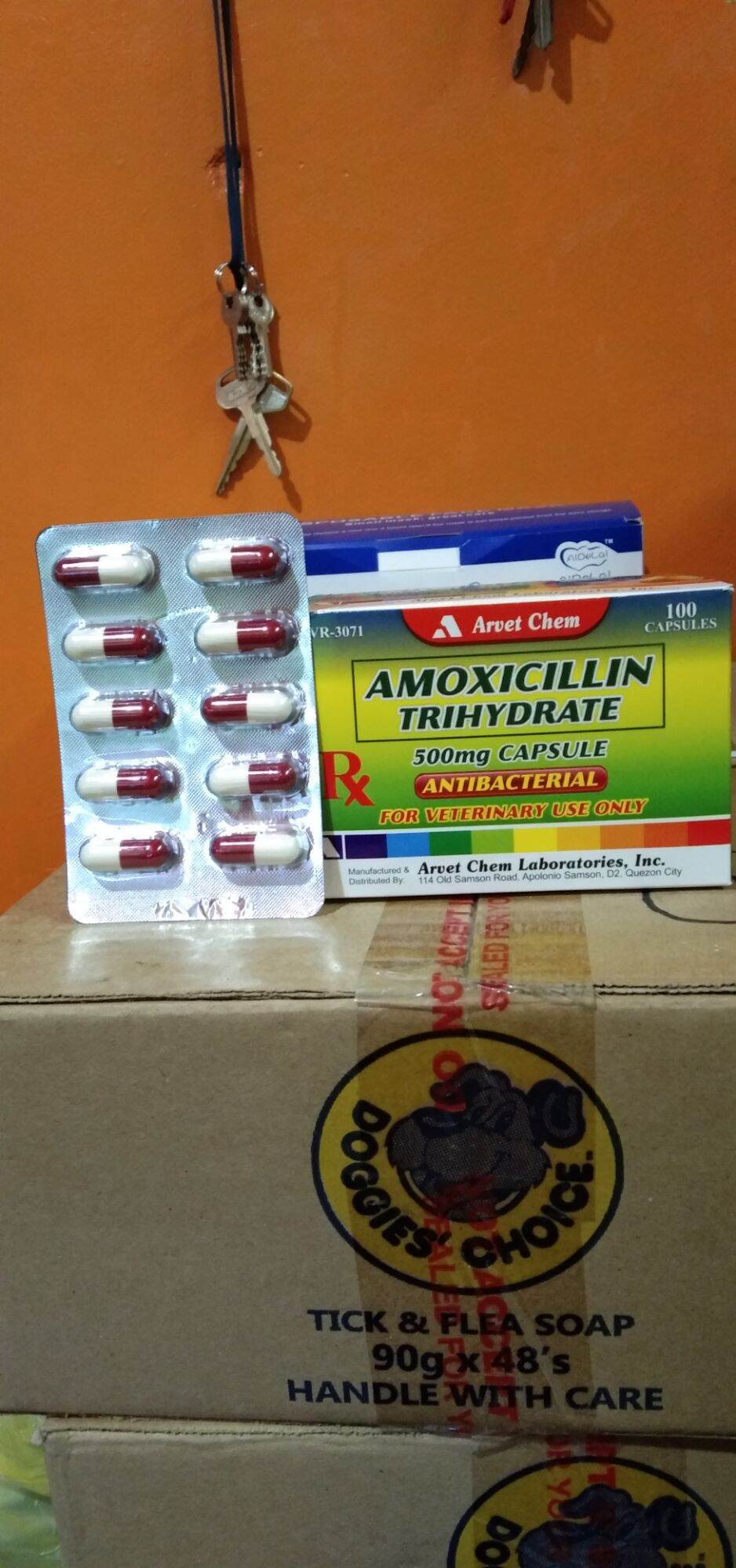 Amox 500mg sold by per 10 capsule | Lazada PH