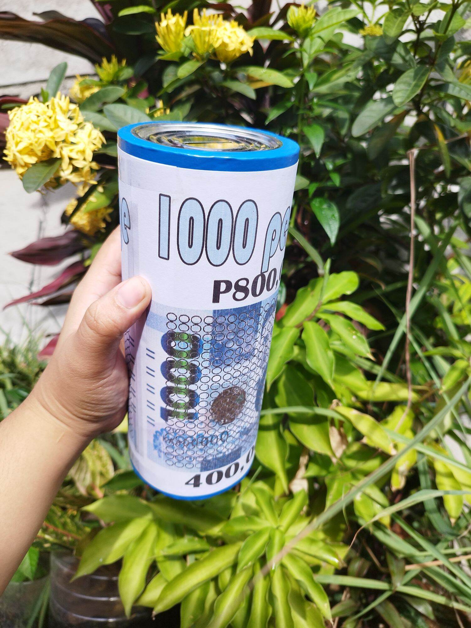 1000 IPON CHALLENGE ALKANSYA (Money bills) | Lazada PH