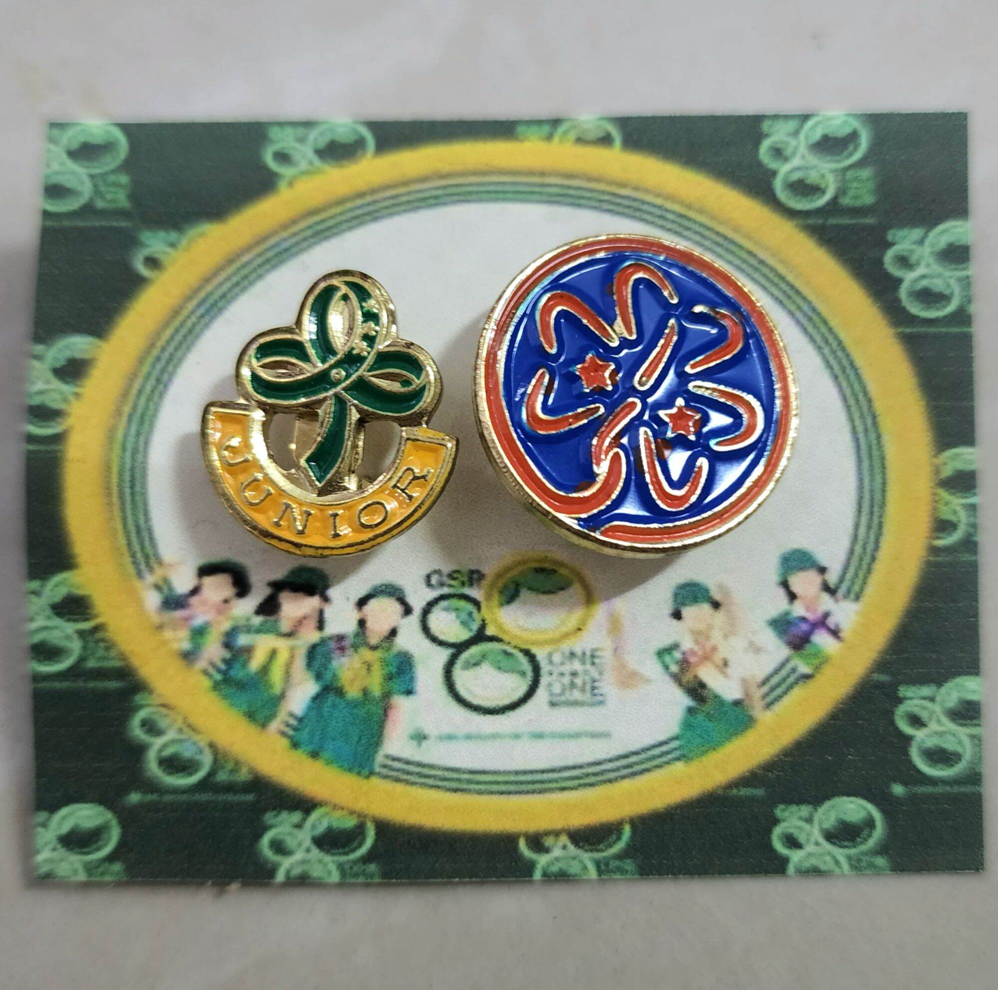 GSP & WORLD PIN SET - GIRL SCOUT PINS | Lazada PH