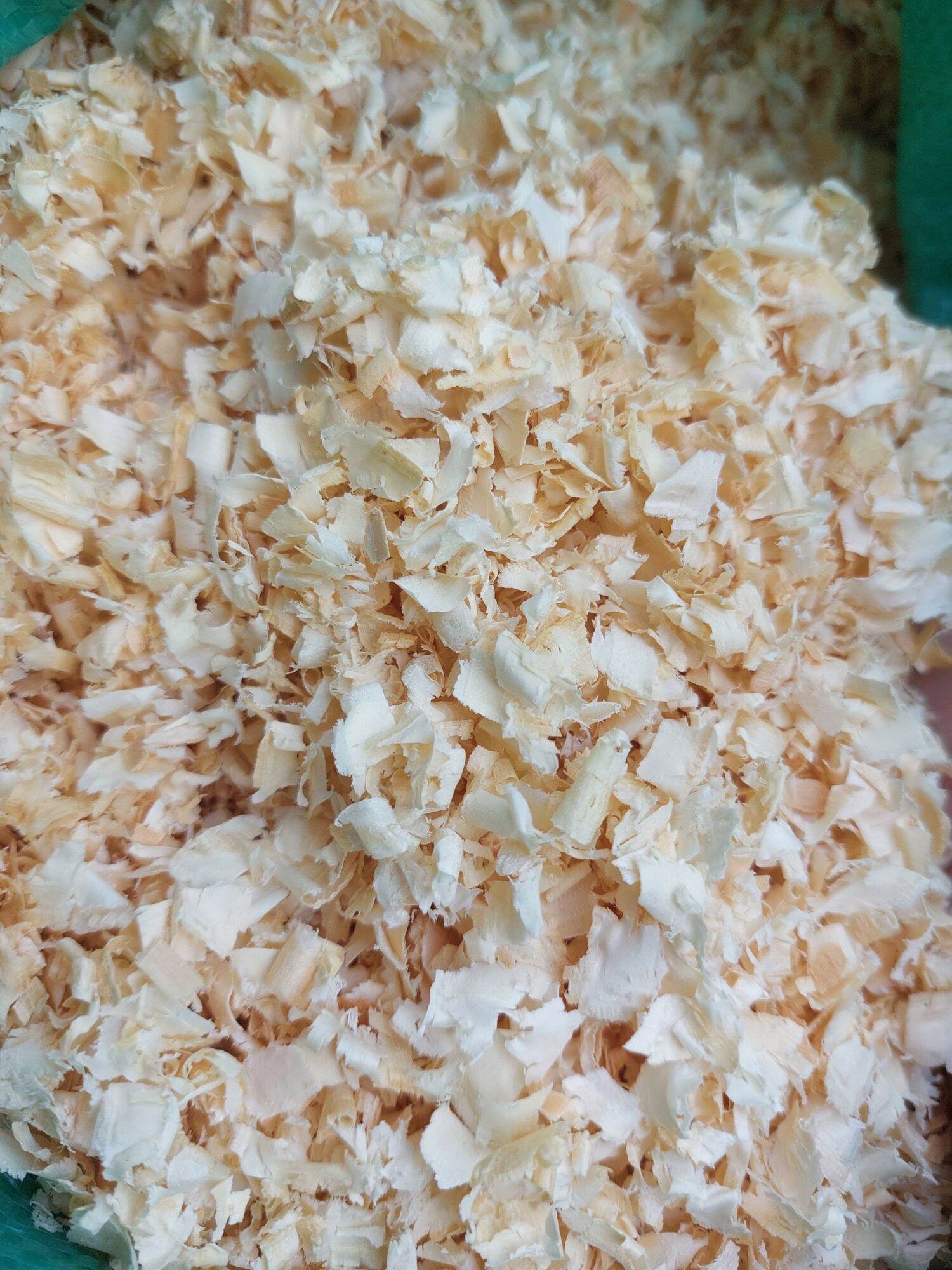 Kusot palochina 200grams (BISTAY) | Lazada PH