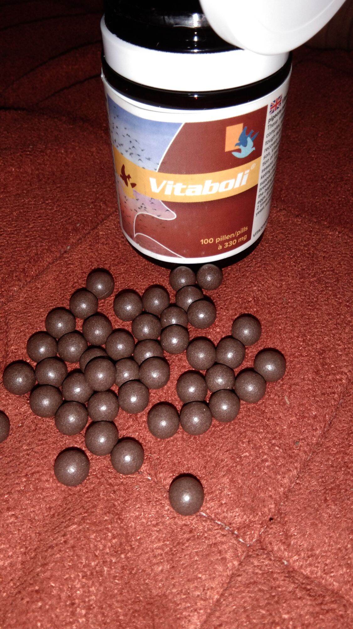 VITABOLI 10 PCS FOR PIGEON RECING EXPIRATION 2026 PWEDENG PABAON SA ...