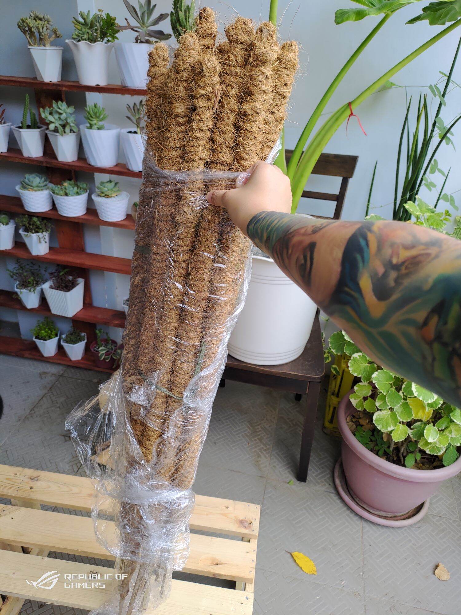 Coco Pole for Plants 2ft