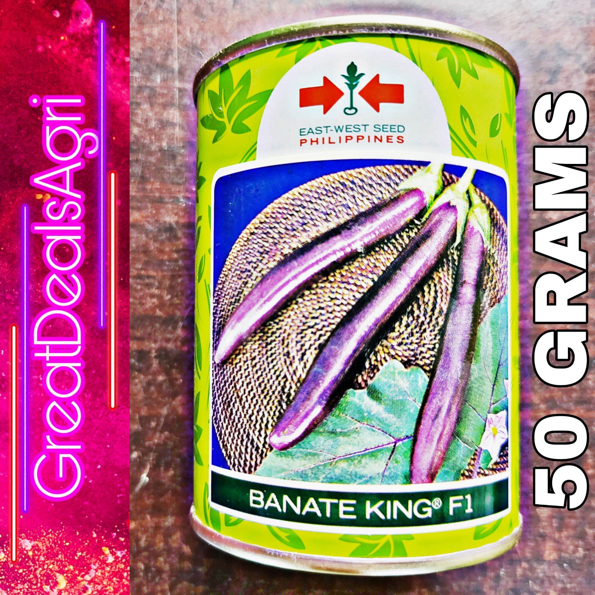 BANATE KING F1 HYBRID EGGPLANT SEEDS (50 GRAMS) EAST WEST | Lazada PH