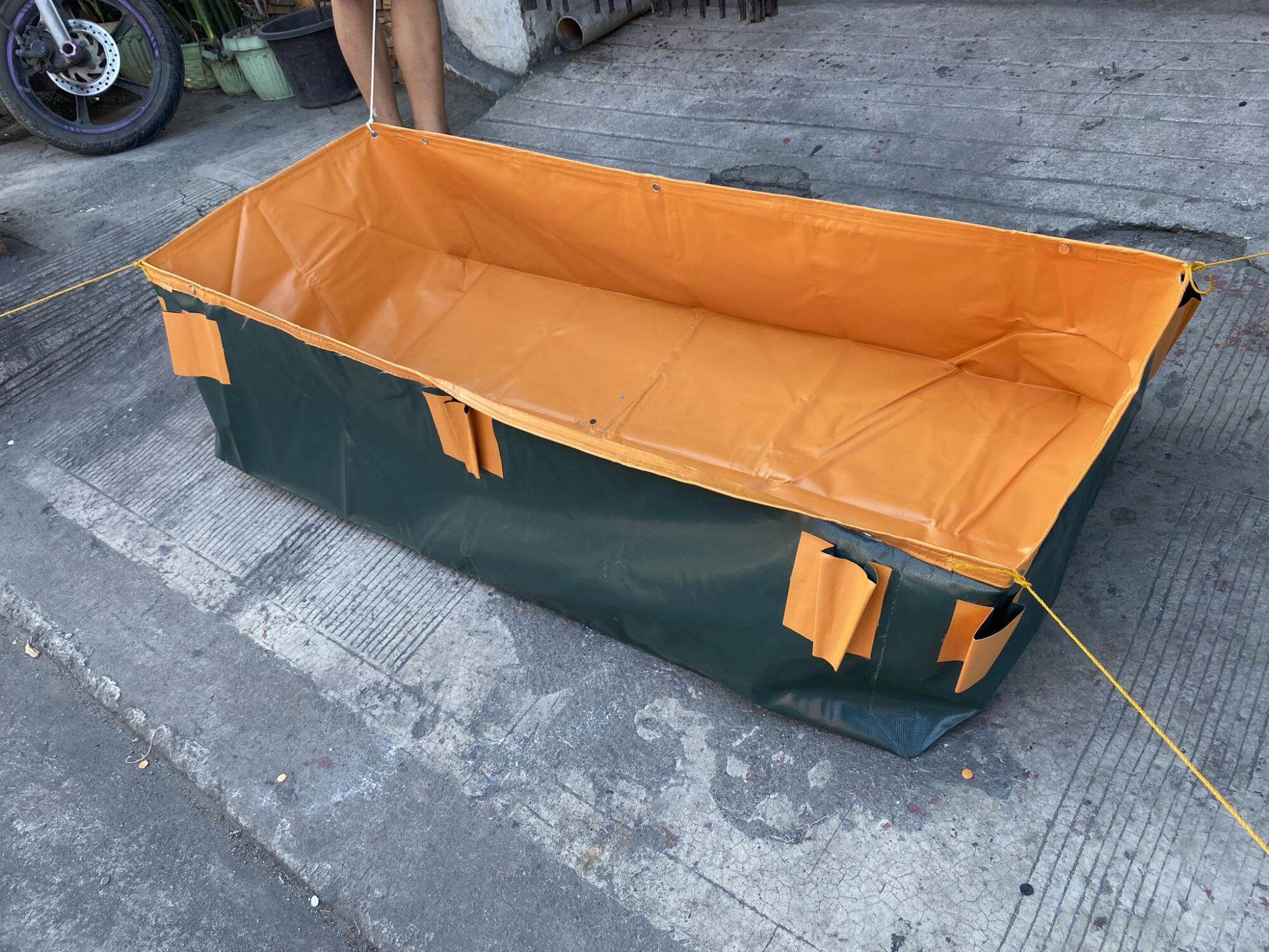 Azolla pond fish tank, crayfish tank, pang umpisa, 4x3x1ft pang ...