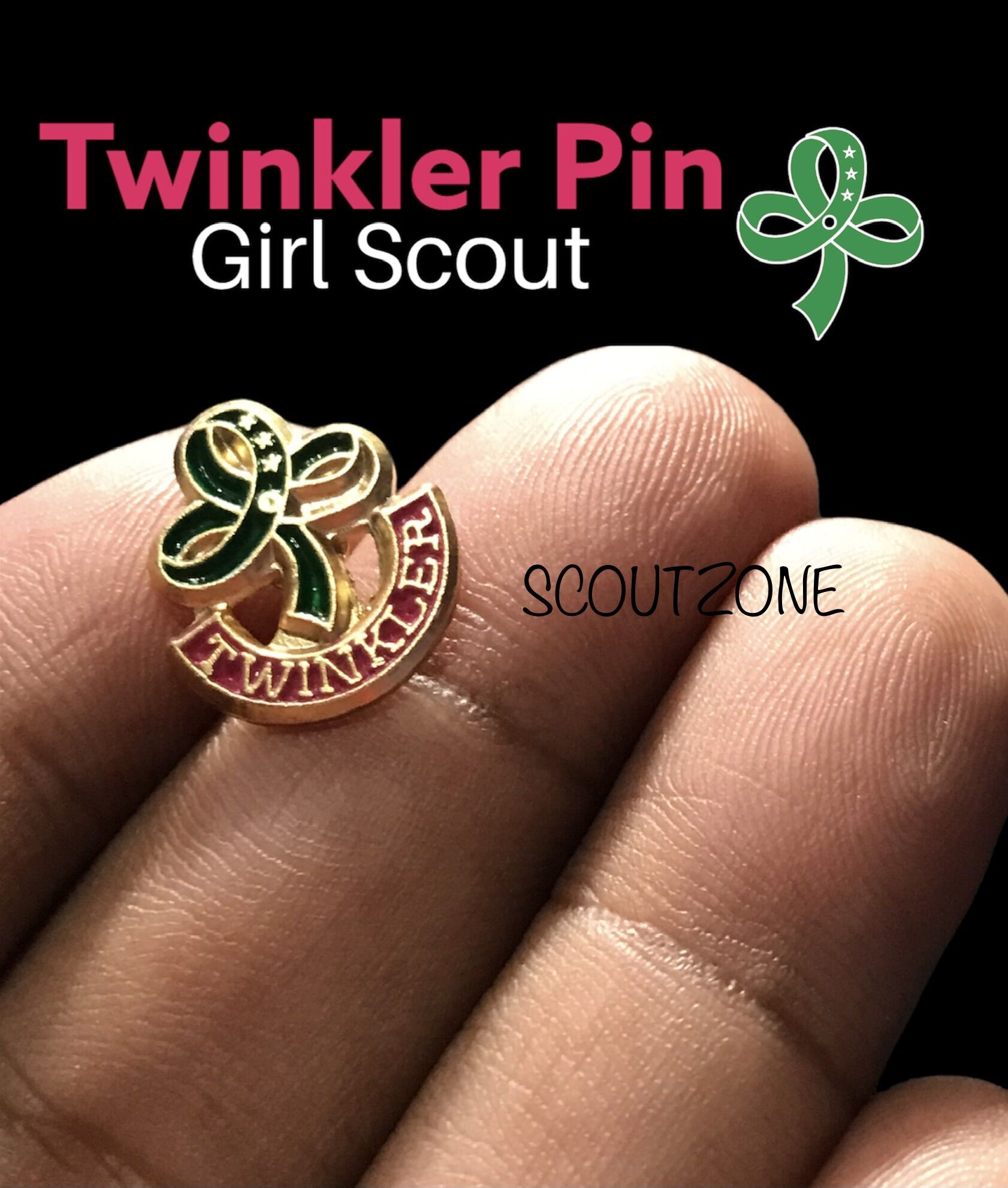 [GSP Pin] Twinkler Pin Star Junior Senior Scout Pin Holder World Pin ...