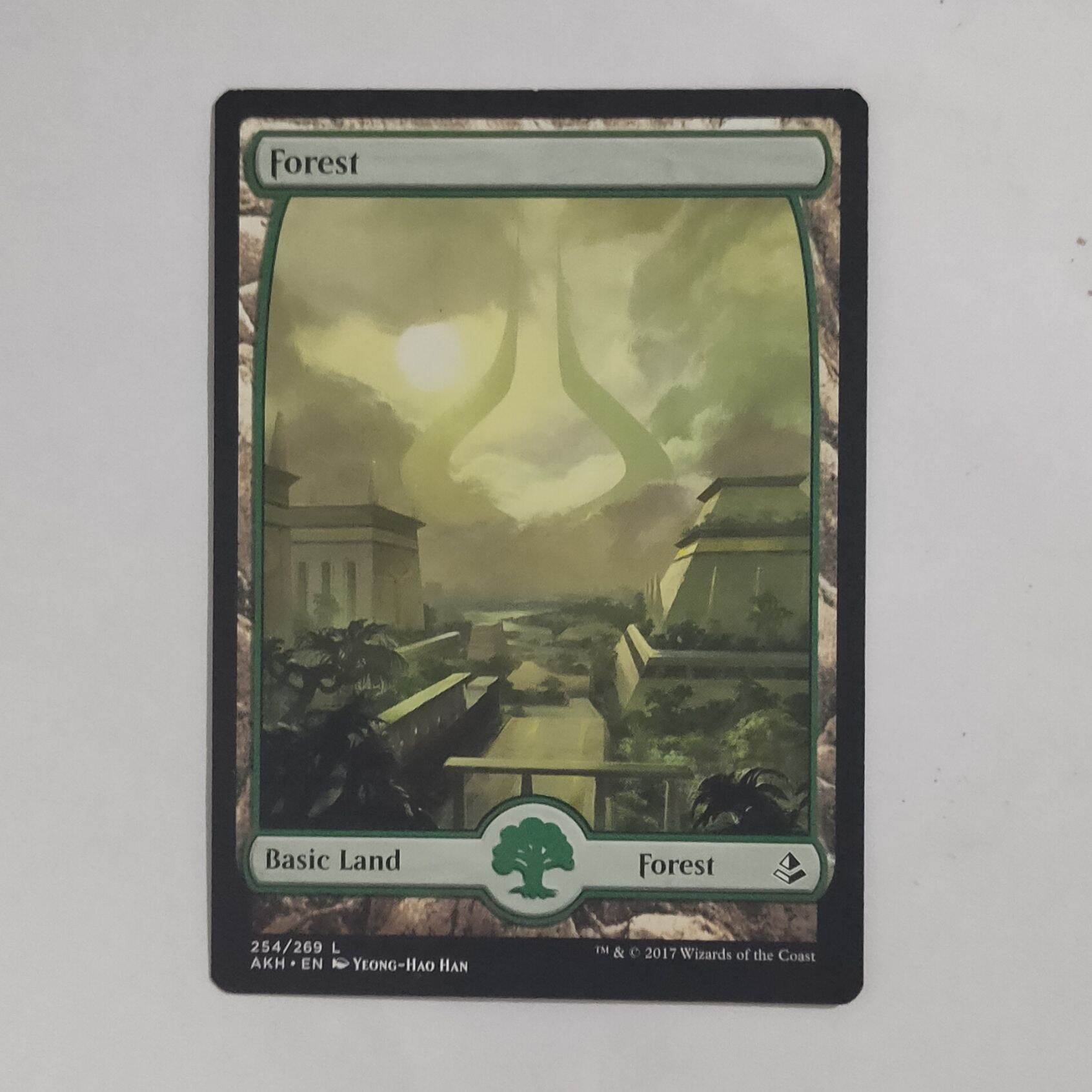 MTG Card FOREST BFZ ZEN AKH HOU Full Art Textless Basic Land Magic the ...
