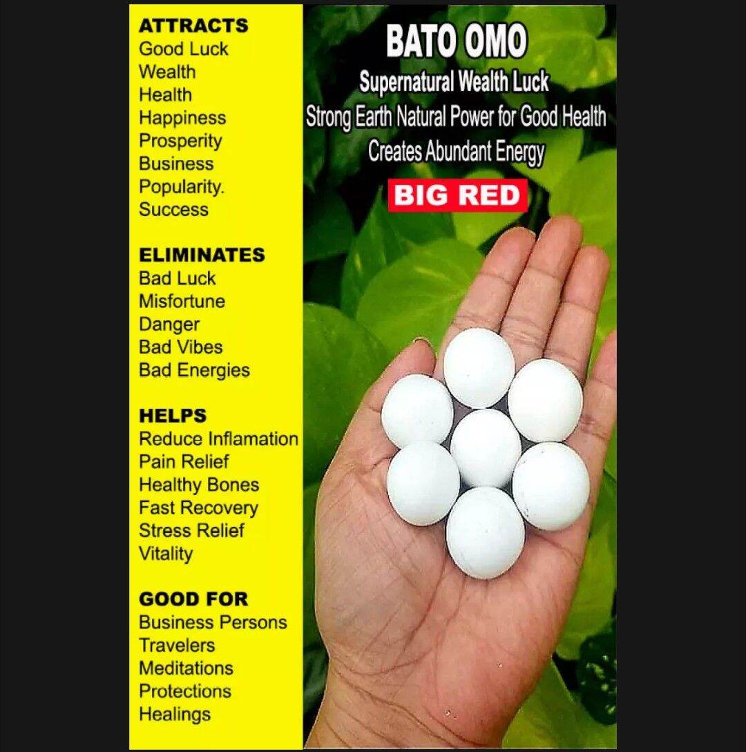 Bato Omo Legit | Lazada PH