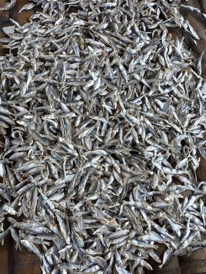 200g/500g/1000g High Quality Lopoy Unsalted lopoy Maliit size | Lazada PH