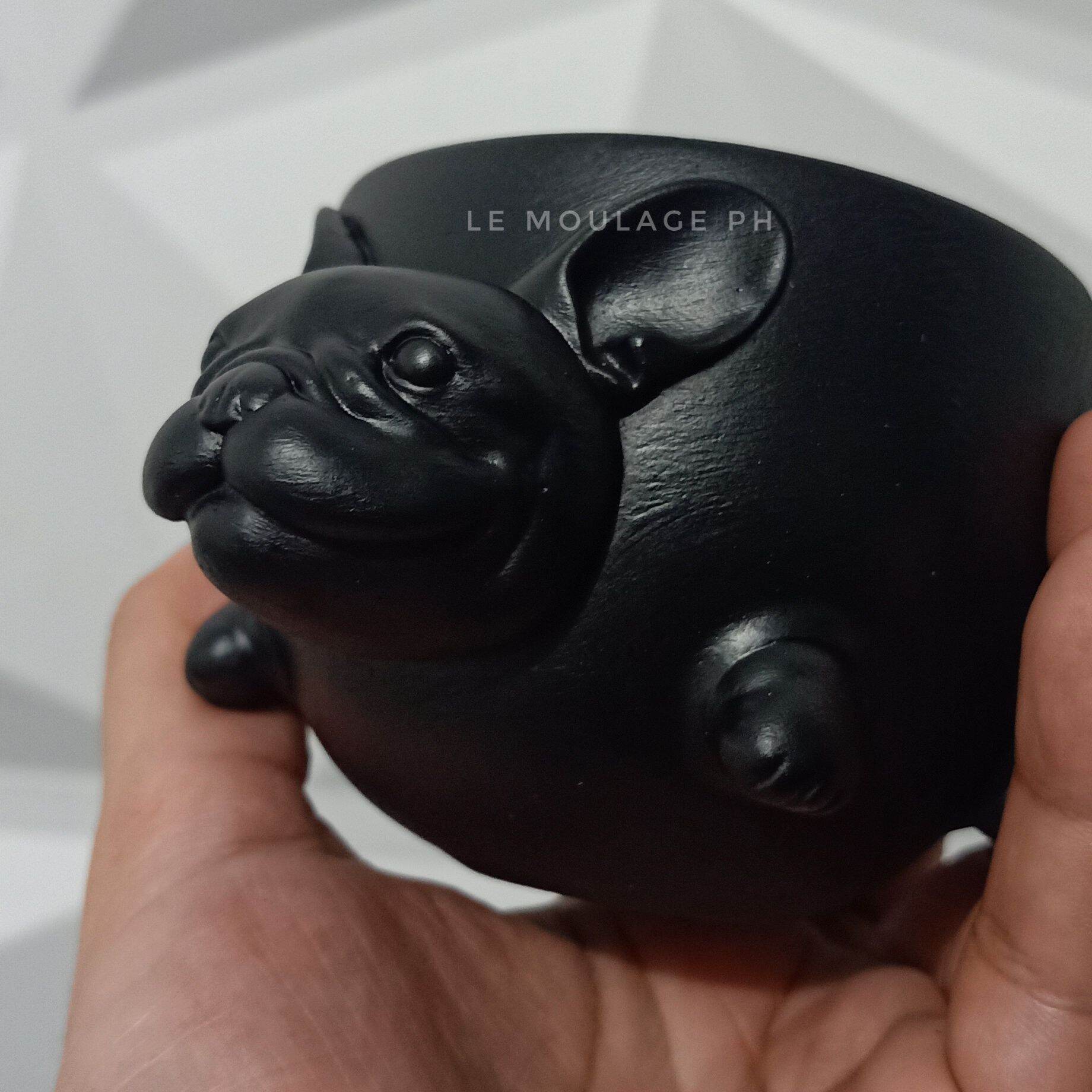 Frenchie pot (Ideal for small sized Cactus and Succulent/Lithops /Air ...