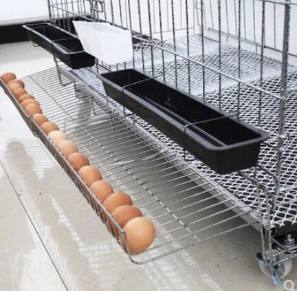 Folding Automatic Rolling Egg Chicken Cage Chicken Raw Egg Chicken Cage ...