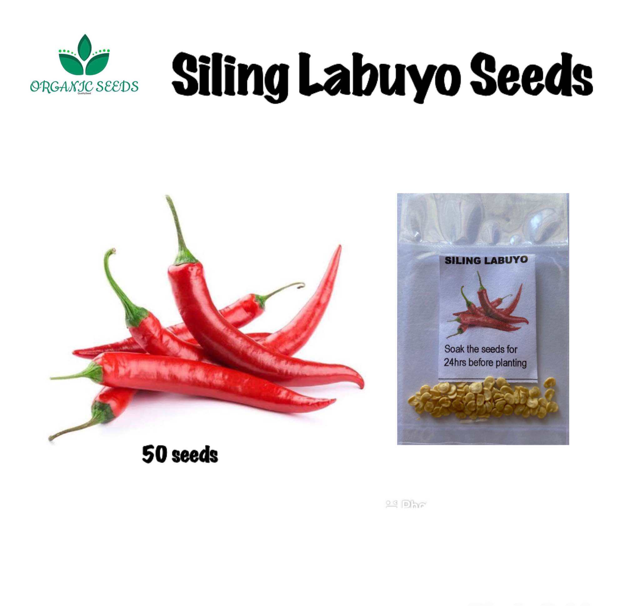 Siling Labuyo Seeds(50pcs) | Lazada PH