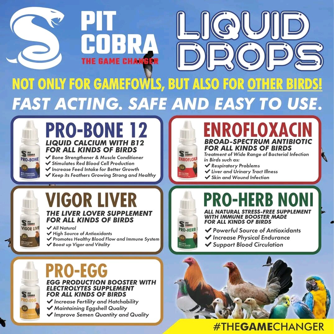 LIQUID DROPS PIT COBRA PACKAGES | FOR PIGEONS | GAMEFOWLS | FIGHTING ...