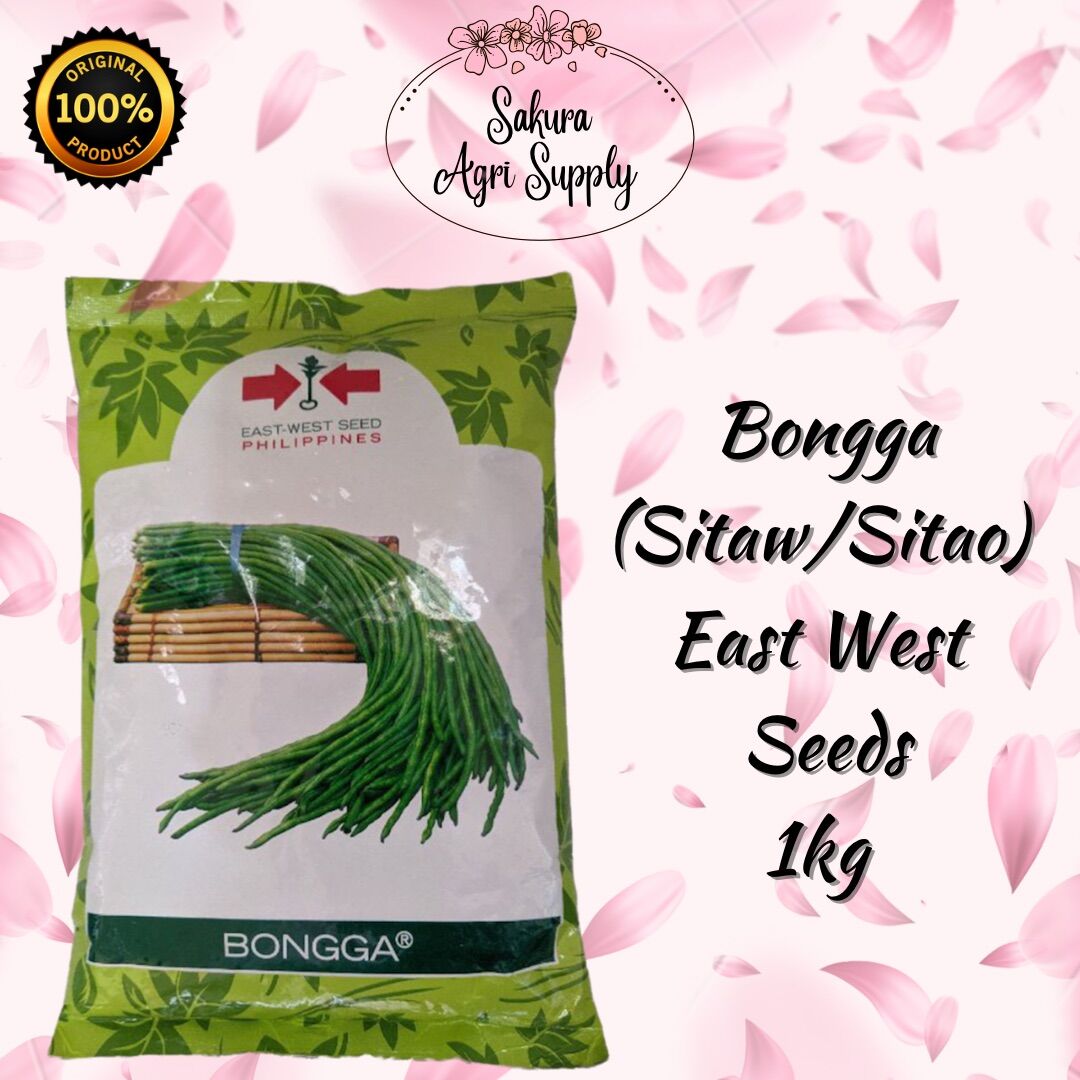EAST WEST BONGGA SITAW / SITAO SEEDS 1kg | Lazada PH