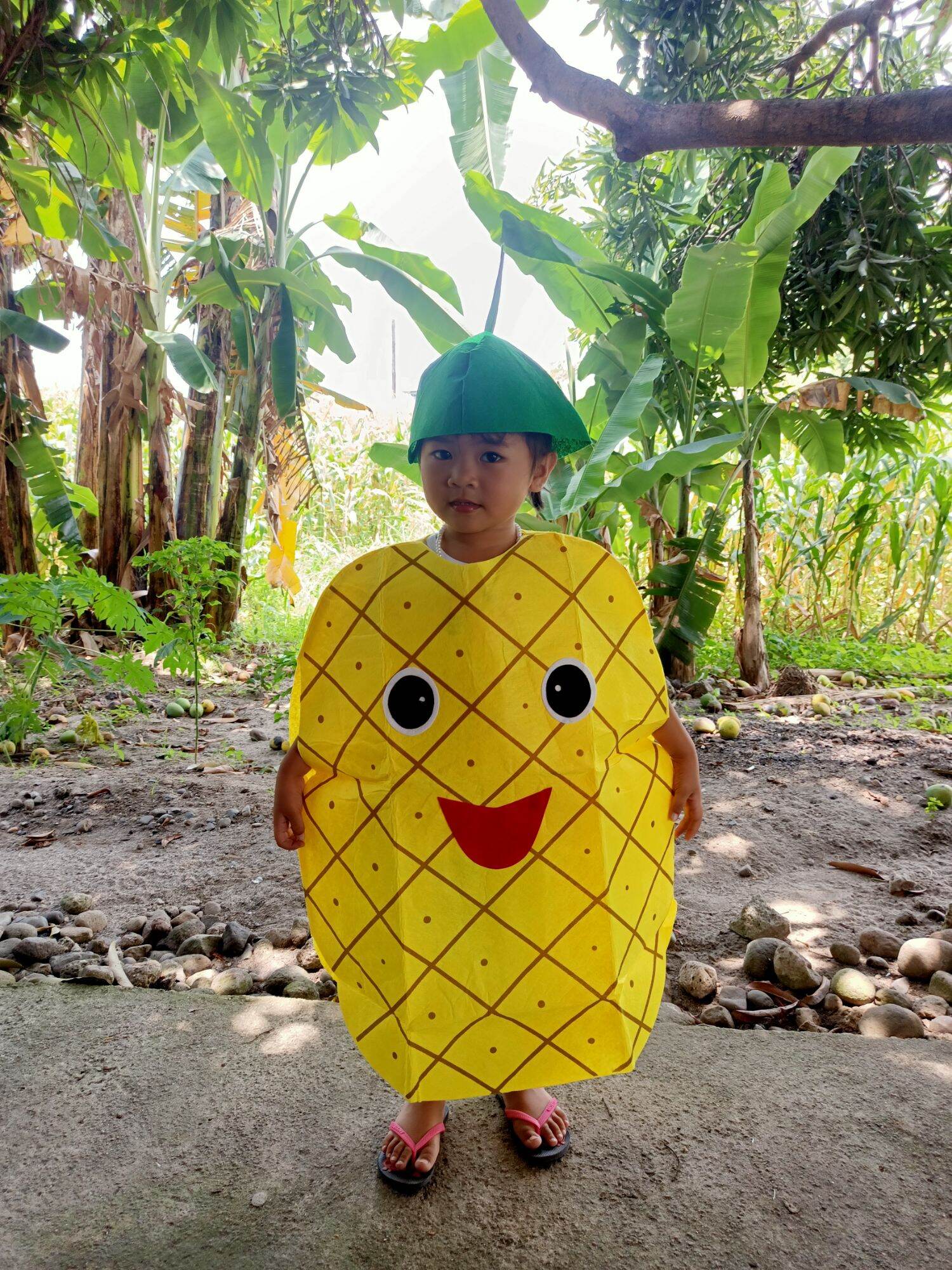 Nutrition Month Costume - Pineapple Free Size Fit up to 5 feet height ...