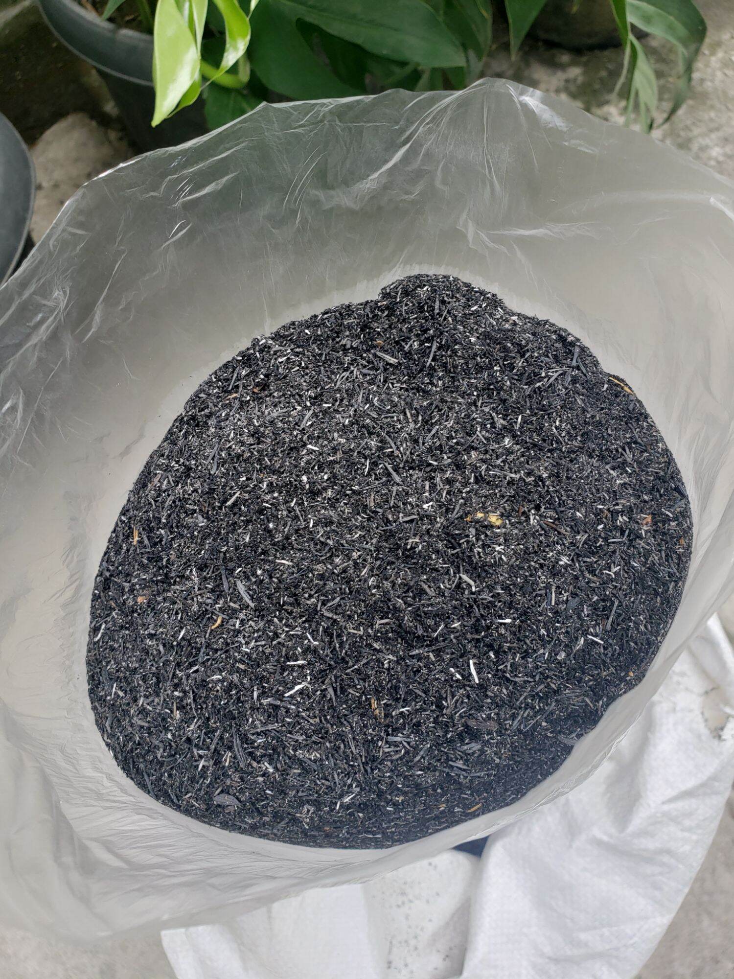 1kg Carbonized Rice Hull (CRH)/ Inuling na Ipa (pure organic) good as ...