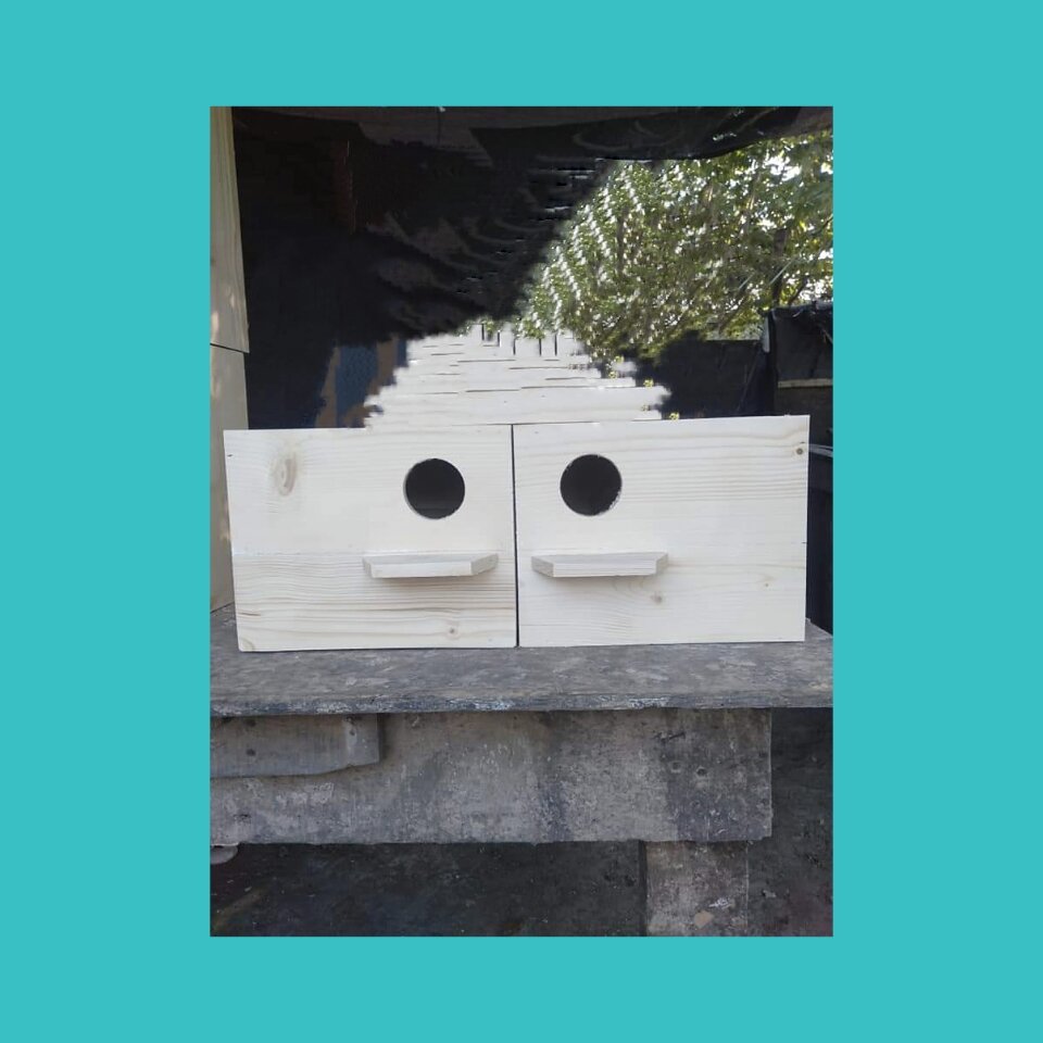 8x8x10 African love bird nest box palochina | Lazada PH