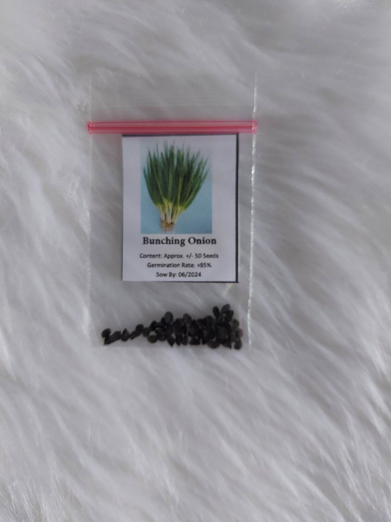 Bunching Onion Seeds Dahon ng Sibuyas Onion Spring Seeds | Lazada PH