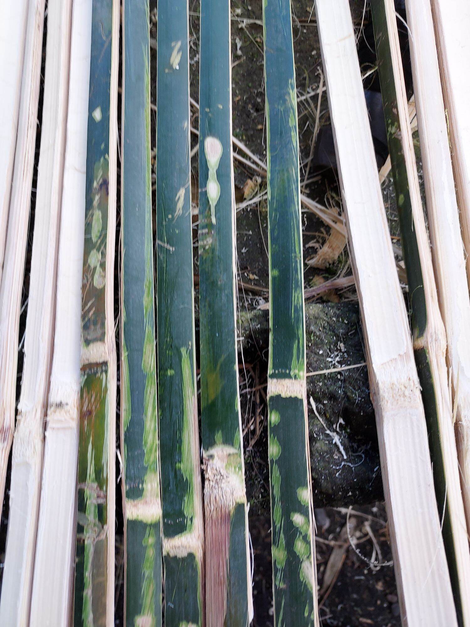 BAMBOO SLATS 15 PCS FOR PLANT SUPPORT 2FT | Lazada PH