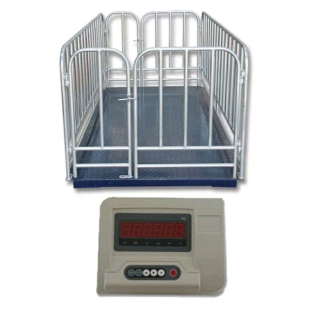 Digital Weighing scale for livestock pigs, goat, cow, carabaos with ...