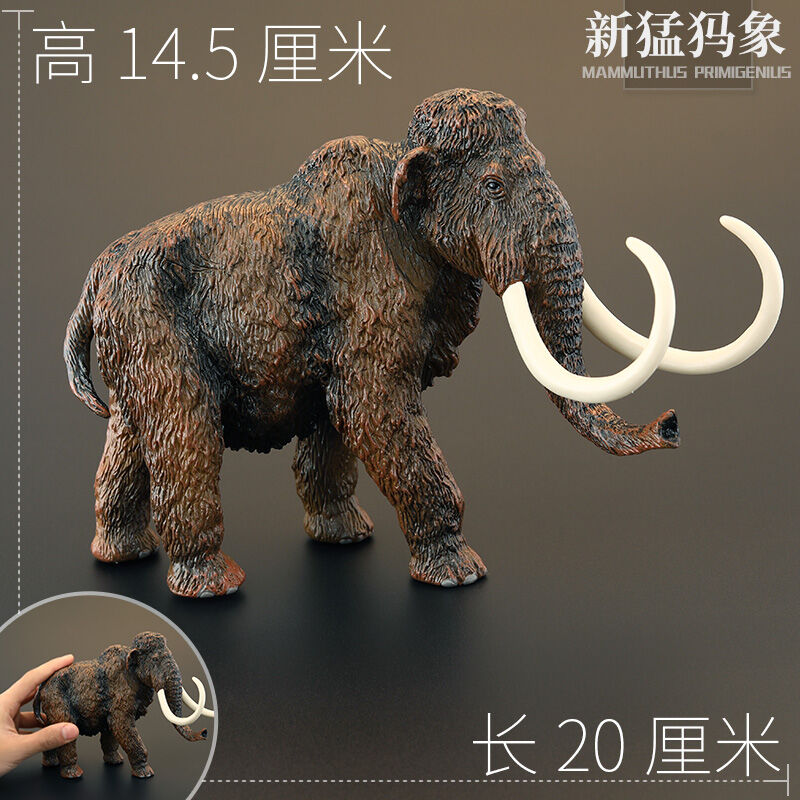 Children's Simulation Animal Toy Wild Animal Model Set Large Solid ...