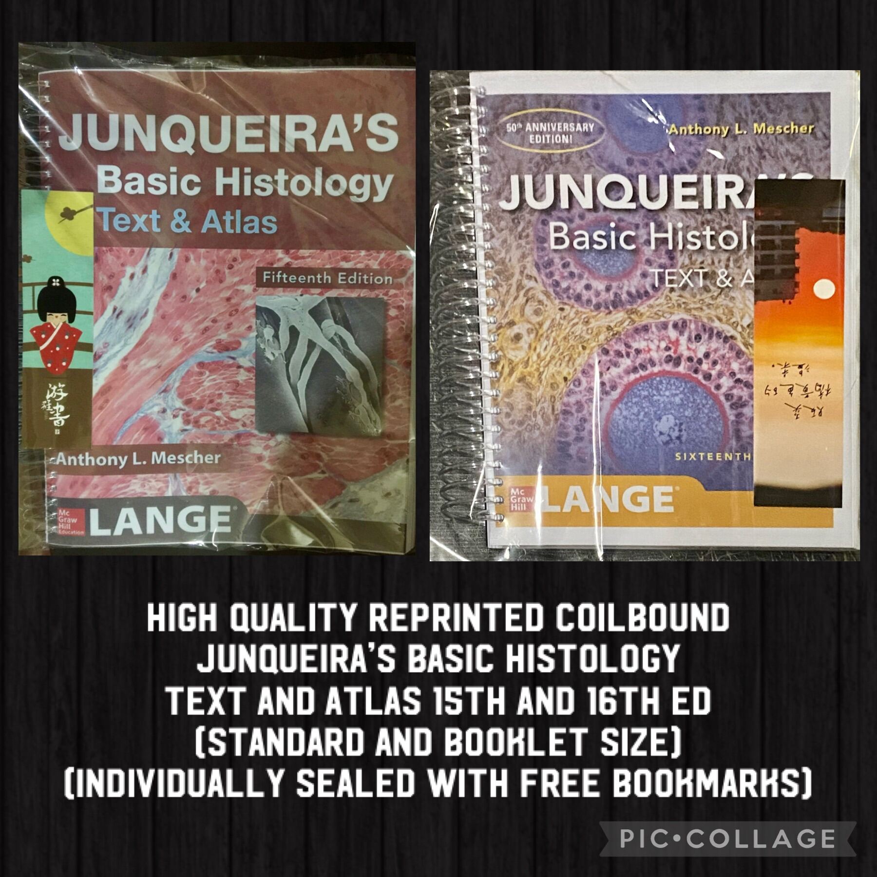 Junqueira’s Basic Histology Text and Atlas 13th Edition Junqueira Histo ...
