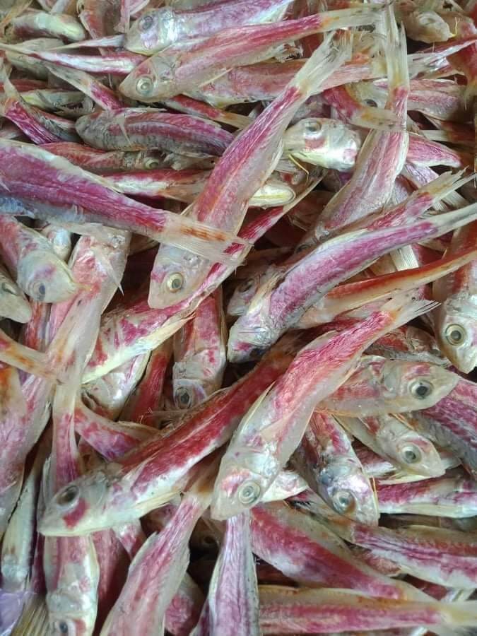 250grams Redsal/ Salmonite