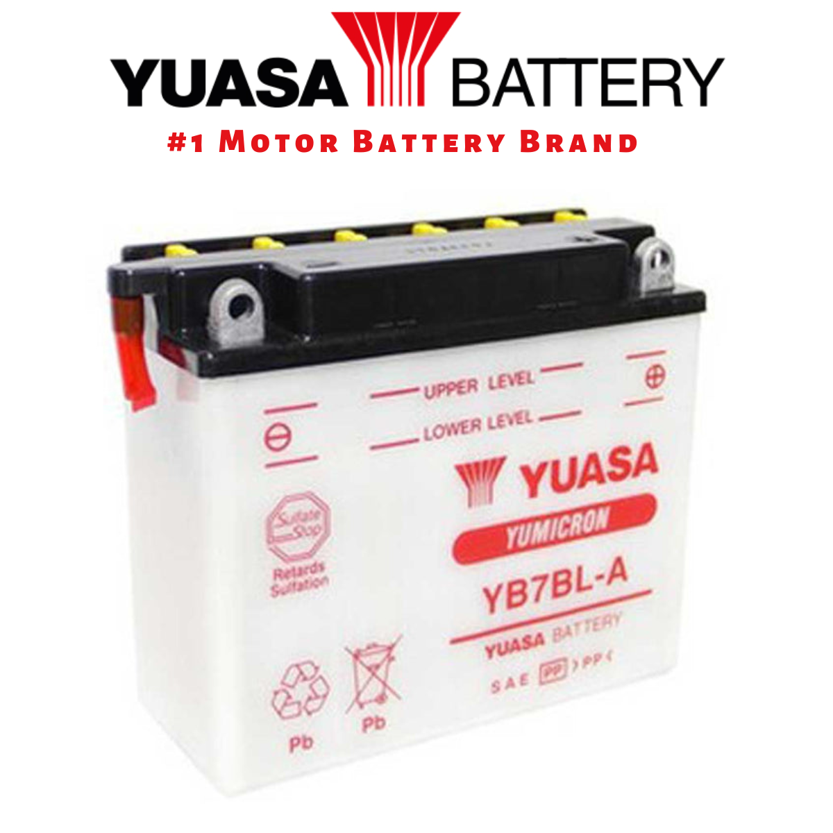 YUASA YB7BL-A Motorcycle Battery for Honda TMX 125 Alpha and CB125 ...