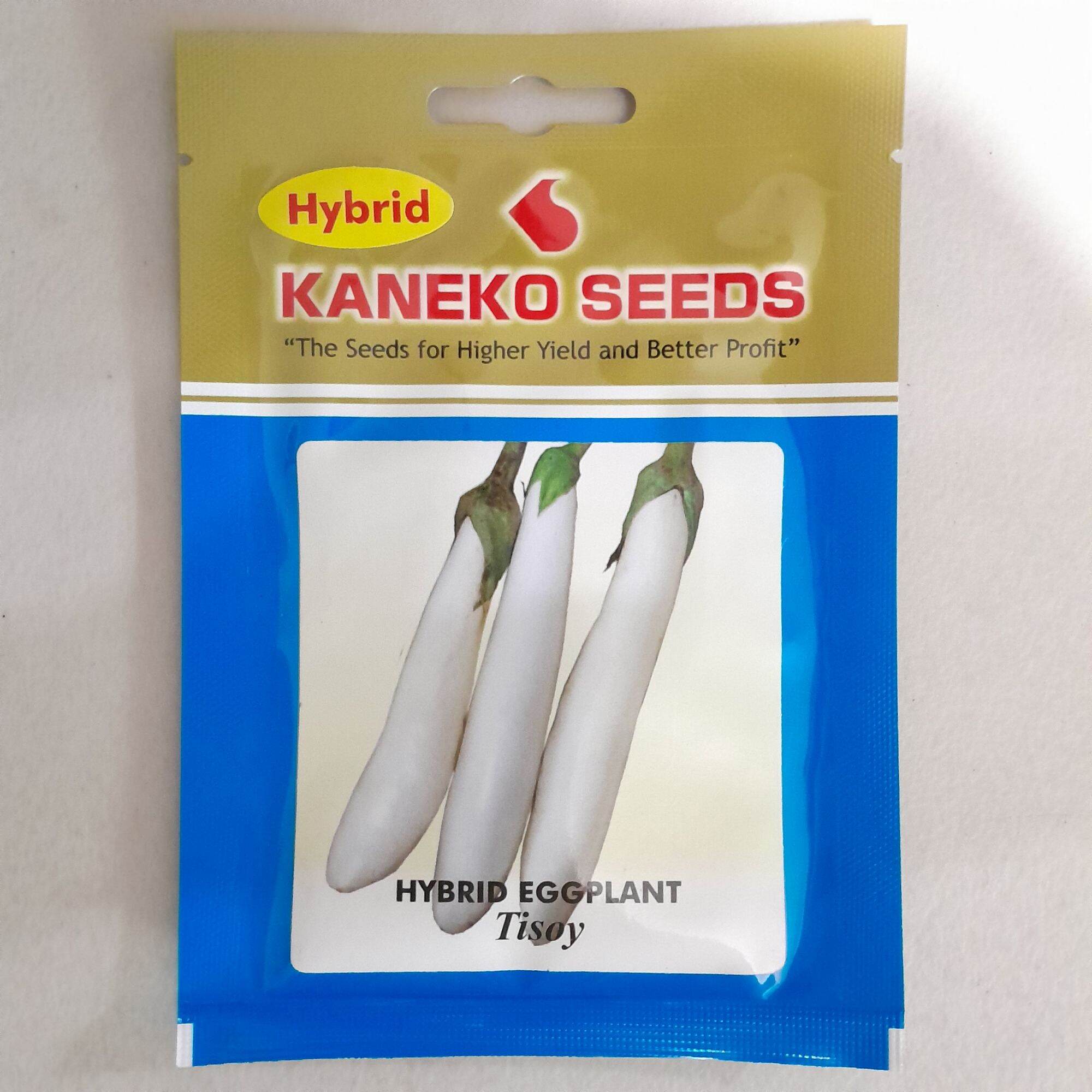TISOY F1 HYBRID WHITE EGGPLANT MAPUTING TALONG SEEDS (228 SEEDS) by KANEKO | Lazada PH