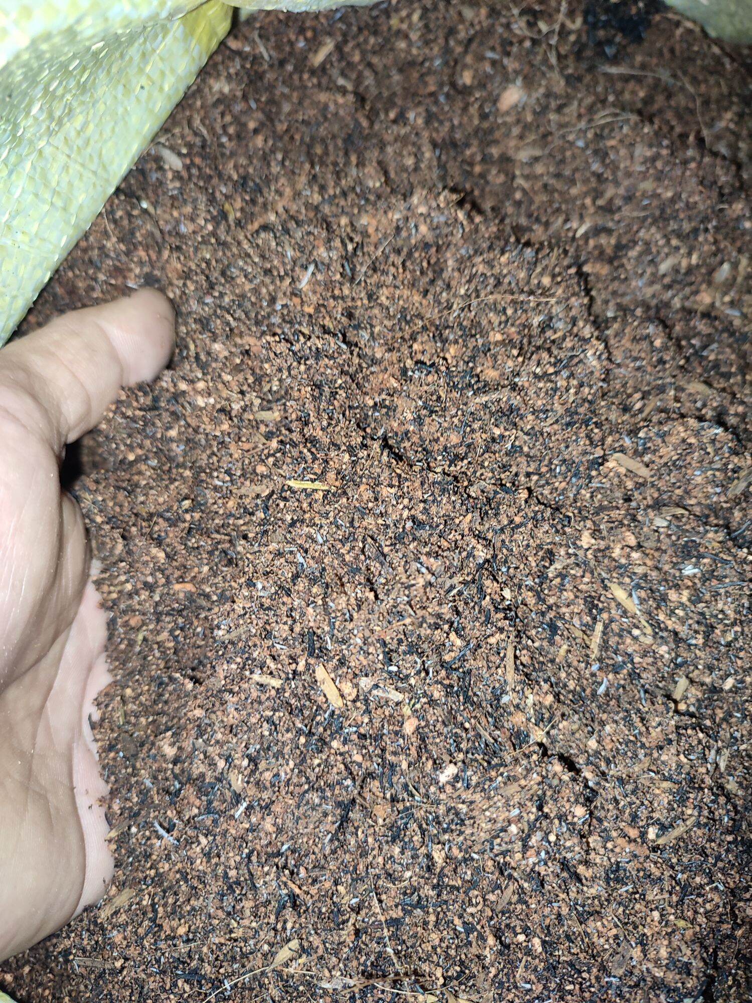 Loamsoil Best for Plants - Buhaghag na Lupa para sa Halaman | Lazada PH