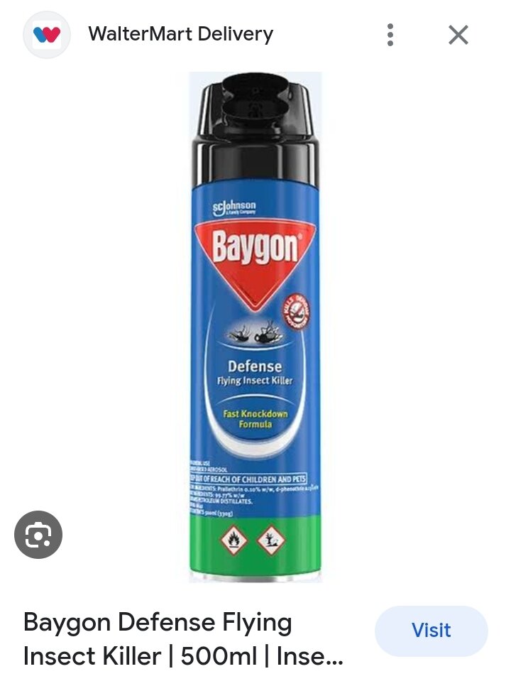 BAYGON DEFENSE FLYING INSECT KILLER ( 500 ML ) | Lazada PH